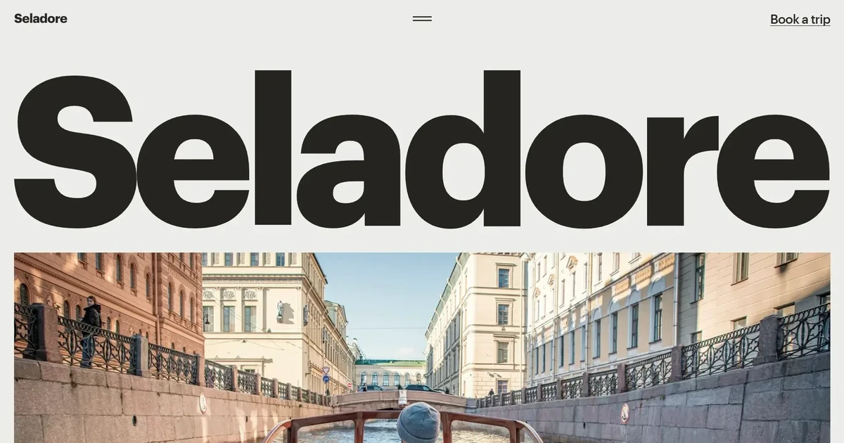 Seladore | Скриншот главной страницы
